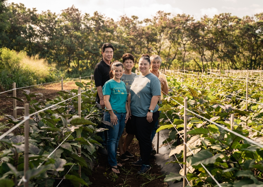 Kahuku farm
